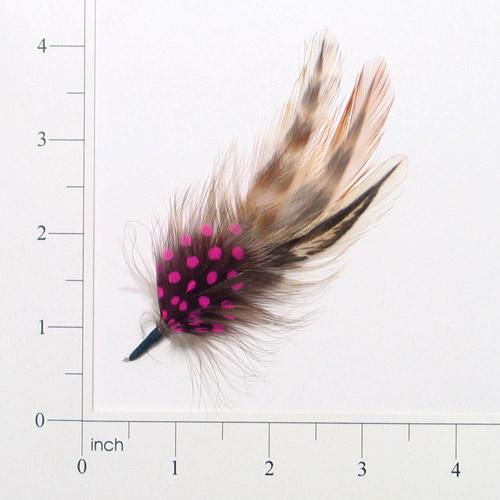 Feather